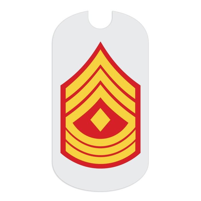 USMC 1stSg Rank Tag Sticker